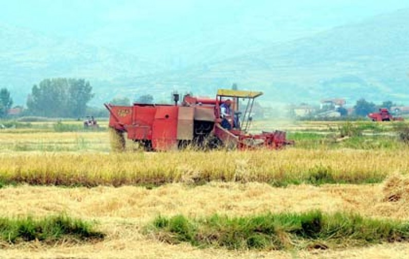 Пуштен во употреба првиот систем за капка-по-капка наводнување на ориз