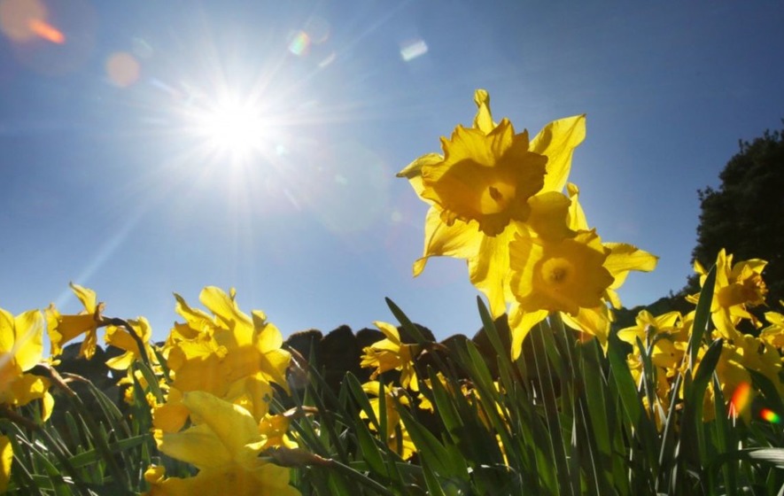 Сончево и топло, до 30 степени