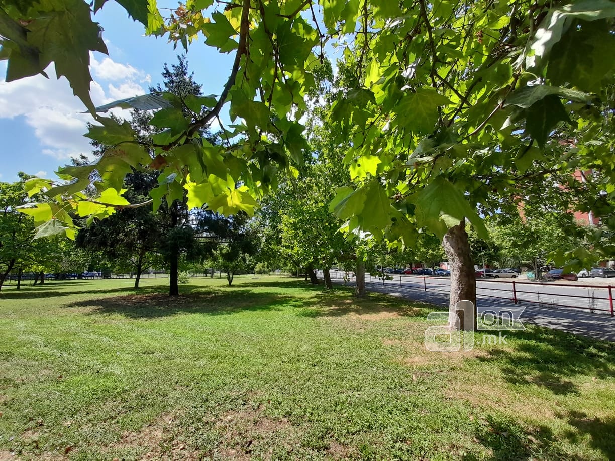 До четврток малку пониски температури, од петок повторно затоплување