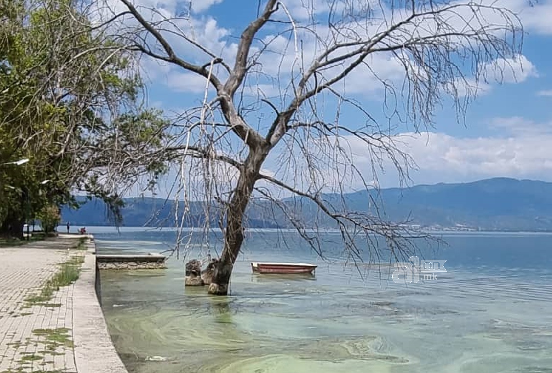 Се трага по давеник во Дојранското Езеро